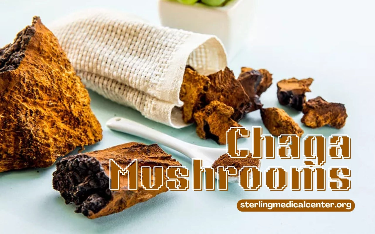 The Medical Benefits of Chaga: What Research Says About This Powerful ...